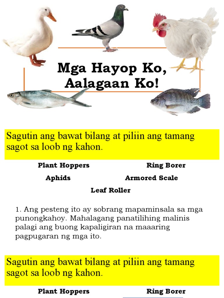 Mga Hayop Ko | PDF