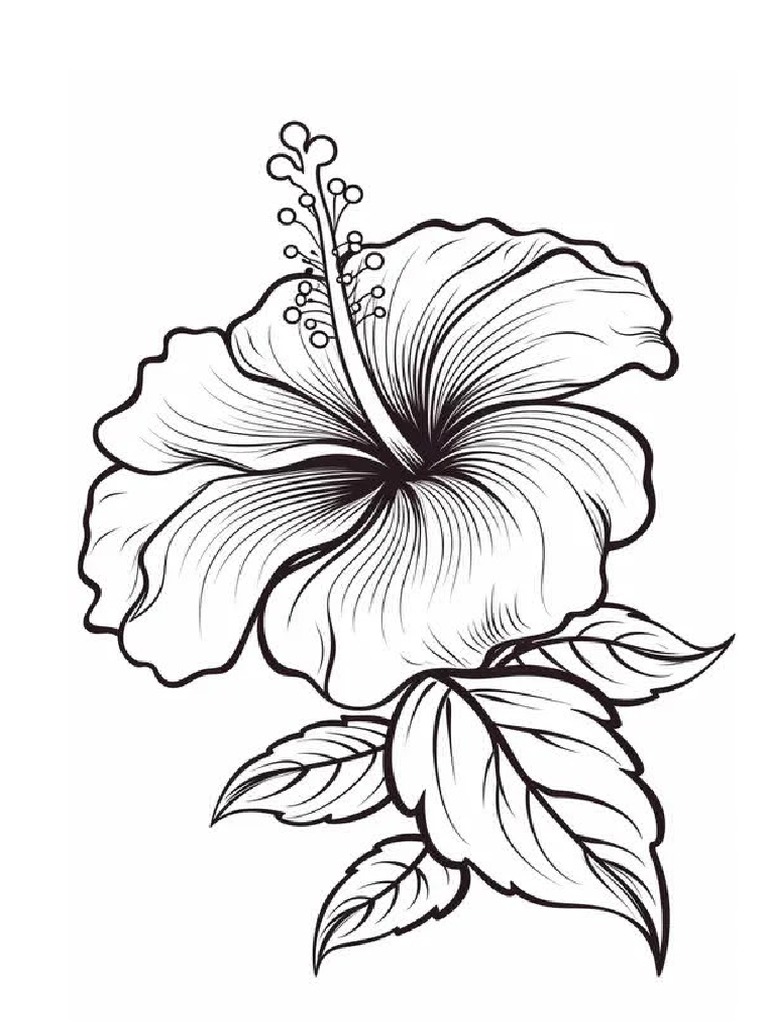 Kolaj Bunga Raya | PDF