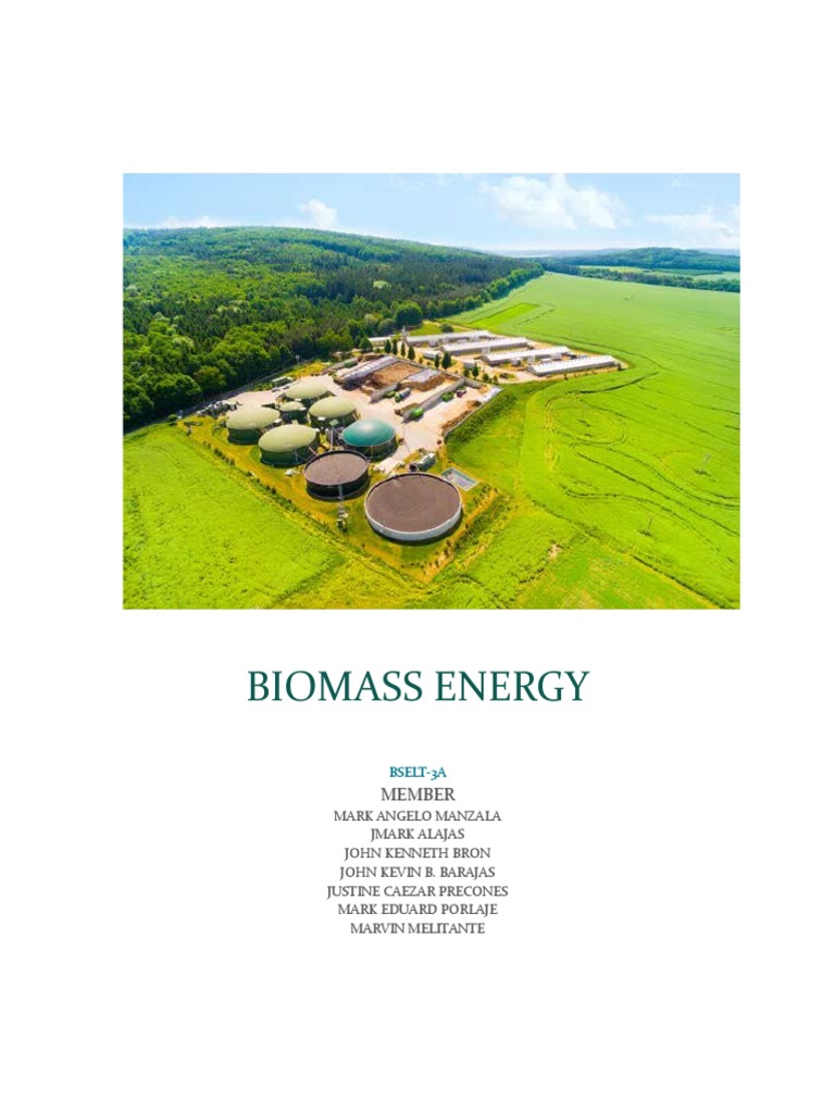 Biomass Energy | Download Free PDF | Biofuel | Energy Development