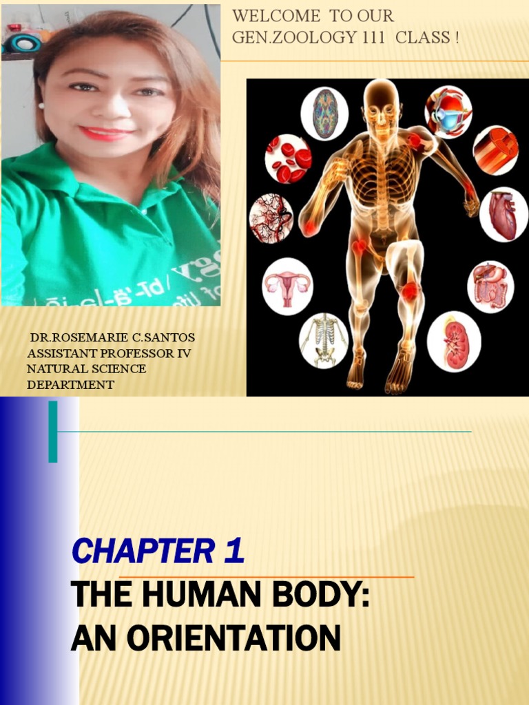 2022 Students Copy CHAPTER 1. Introduction To Anatomy | PDF