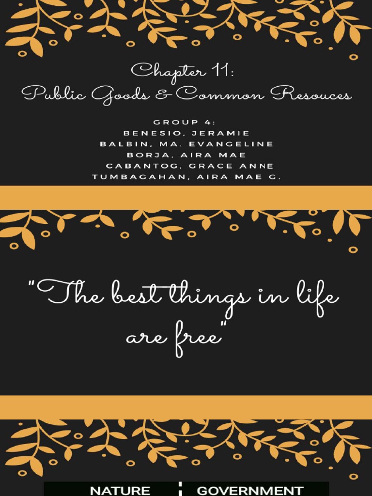 Public Goods Common Resources | PDF