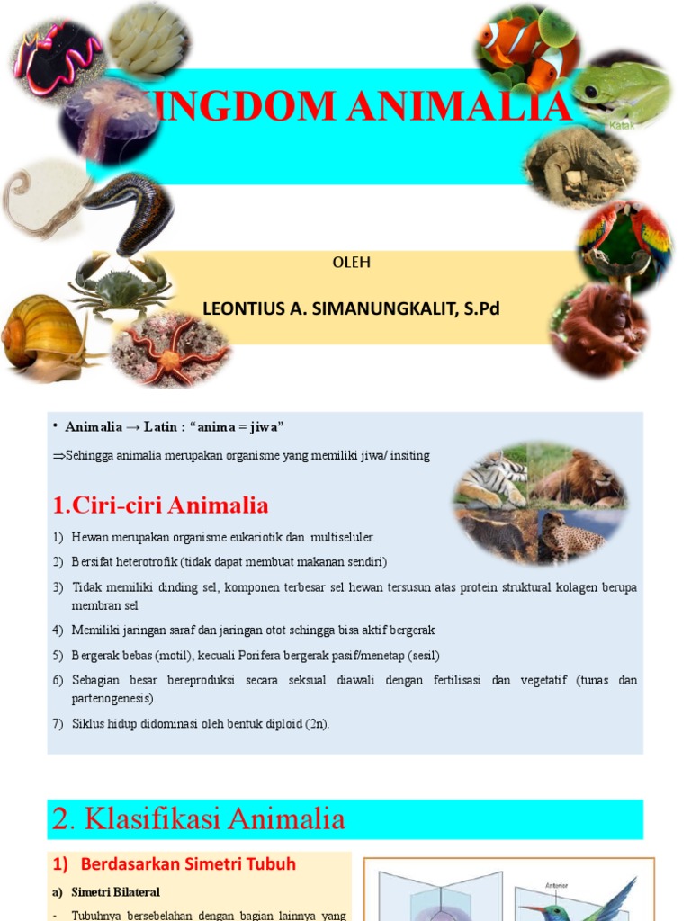 Klasifikasi dan Ciri Animalia | PDF