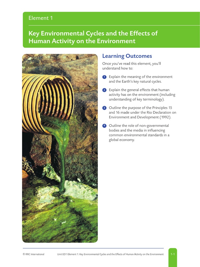 Element 1 - Key Environmental Cycles | PDF | Carbon Cycle | Soil