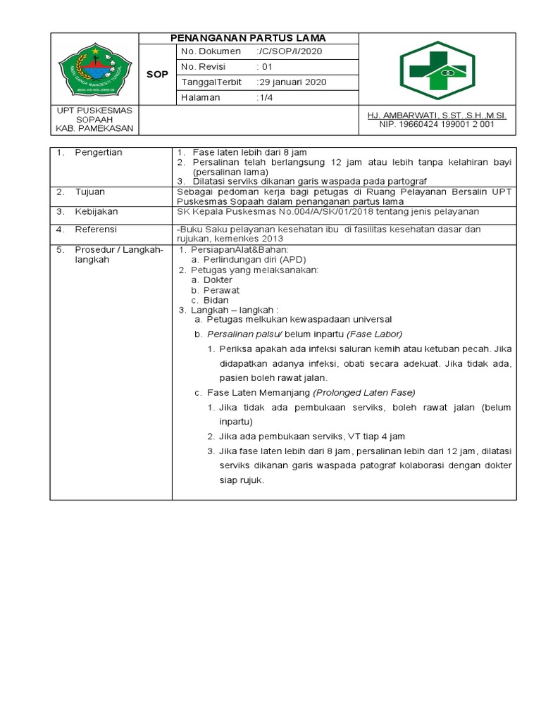 Sop Penanganan Partus Lama | PDF