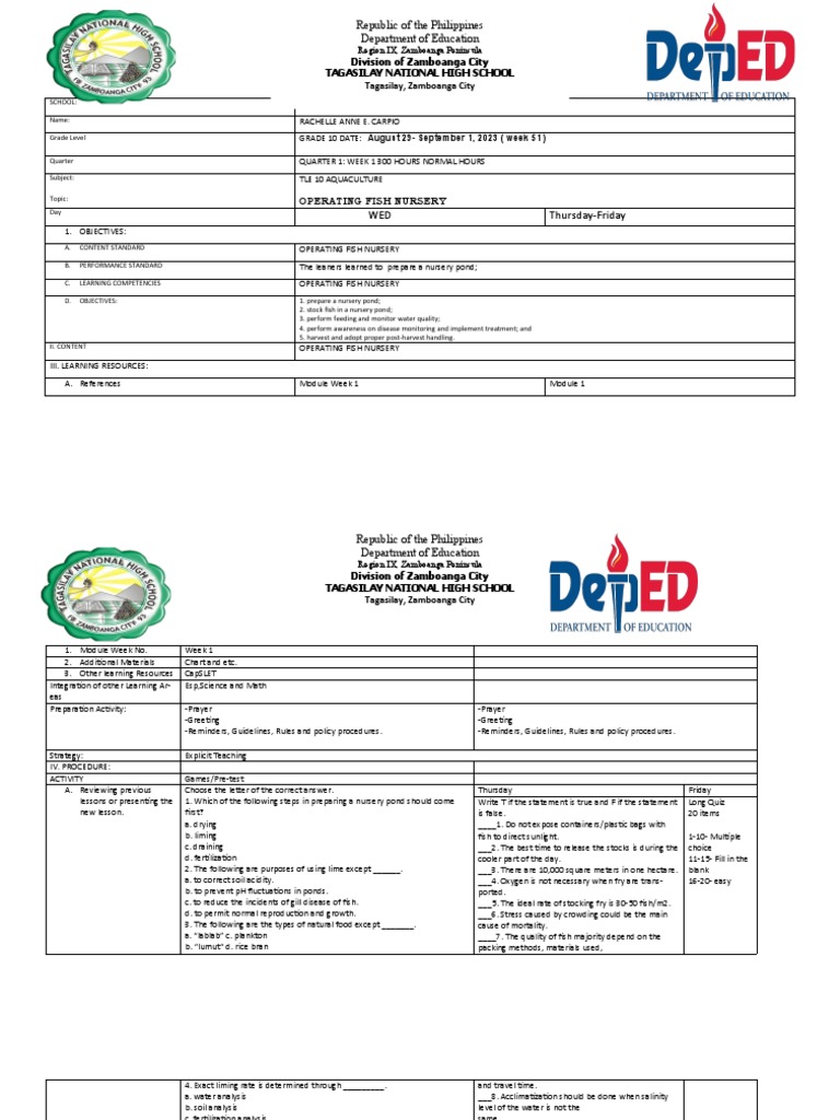 Detailed Lesson Plan in TLE 10 Week 1 | PDF