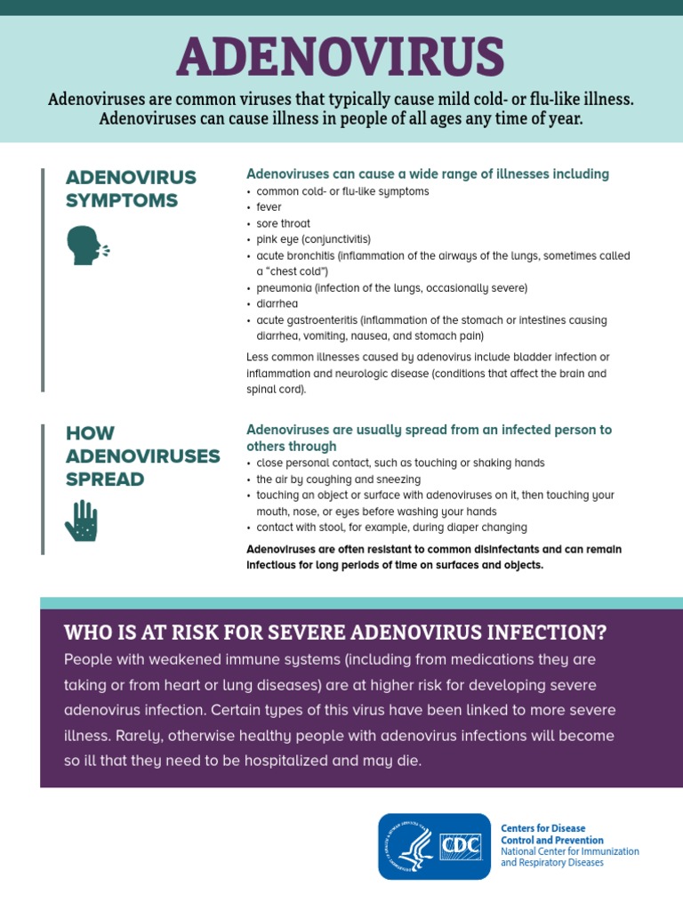 Adenovirus Factsheet 508 | Download Free PDF | Adenoviridae | Common Cold