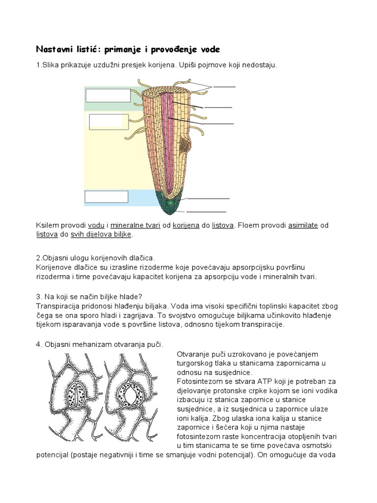 Radni Listić Primanje I Provođenje Vode 2 | PDF