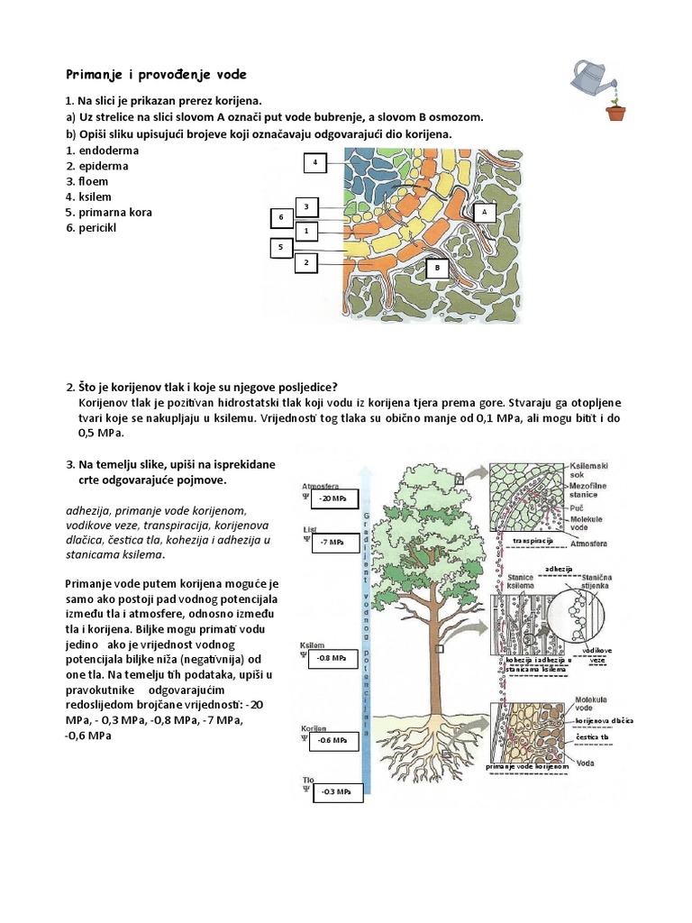 Radni Listic Primanje I Provodenje Vode | PDF