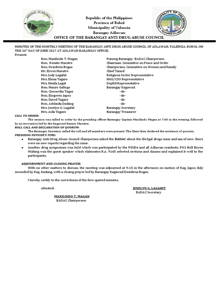 Badac Meeting June | PDF | Government Institutions | Separation Of Powers