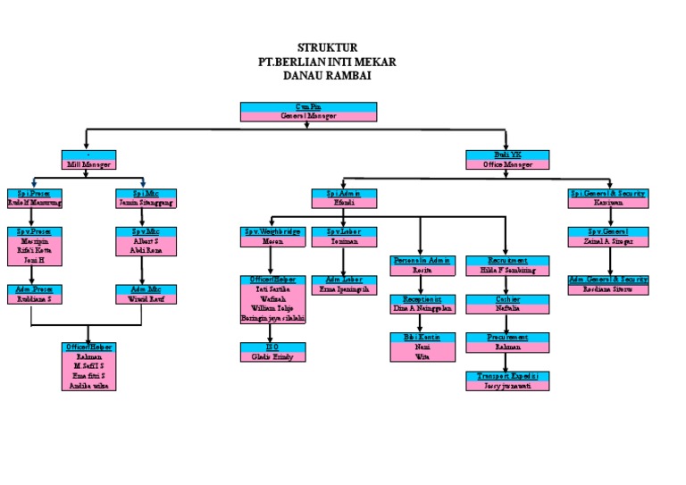 Struktur Organisasi PT. BIM (INHU) | PDF