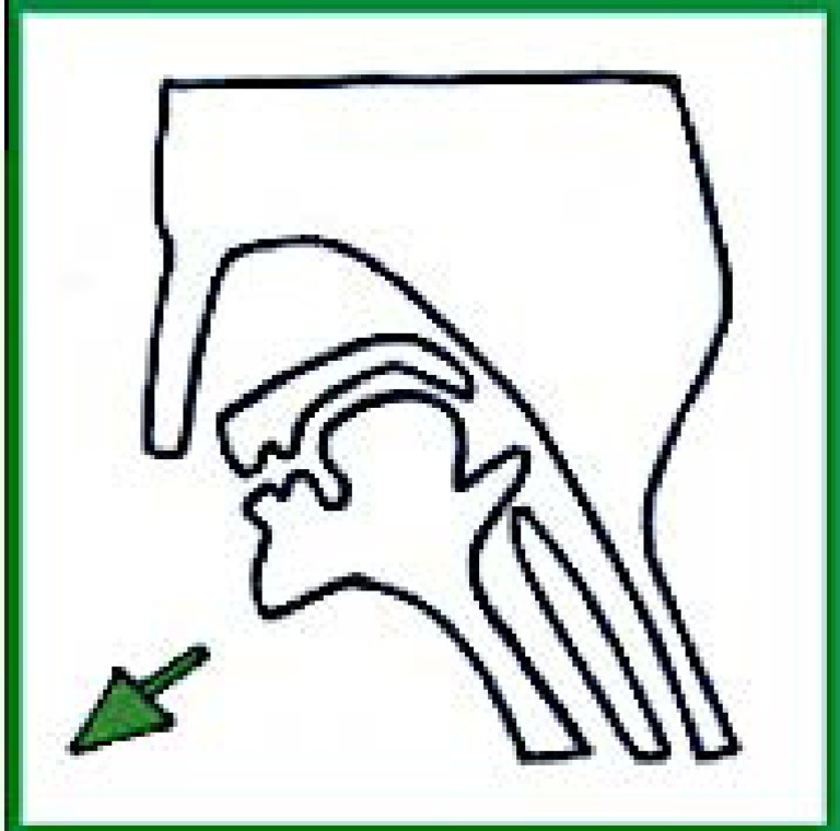 Fléchir La Tête | PDF