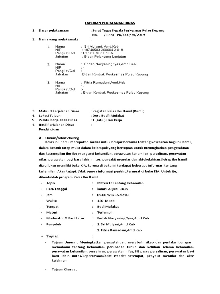 LPD KELAS IBU HAMIL Pertemuan Ke 2 | PDF | Kesehatan Holistik