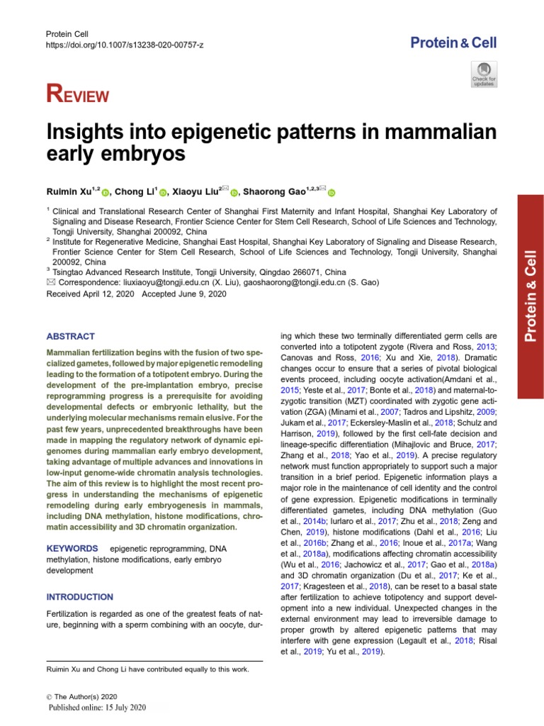 Insights Into Epigenetic Patterns in Mammalian Early Embryos | PDF ...