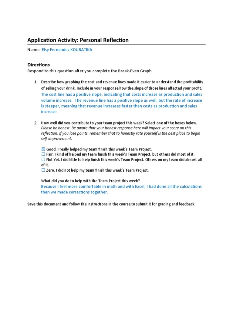 Pc102 Document Personalreflectiontemplate | PDF