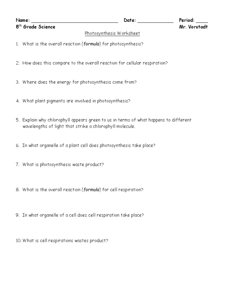 Photosynthesis Worksheet | PDF | Photosynthesis | Cellular Respiration