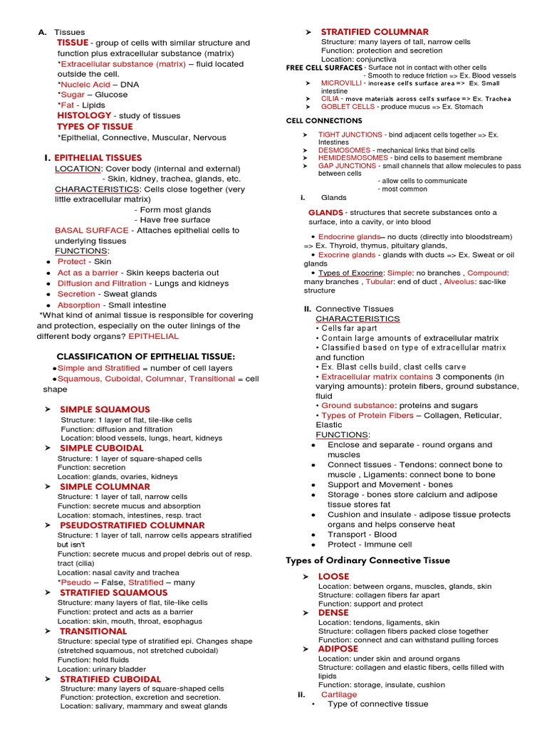 Genbio Reviewer | PDF | Meiosis | Tissue (Biology)