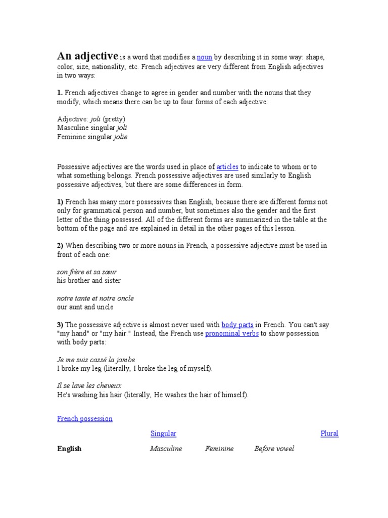 French Grammar Adjectives | PDF | Grammatical Gender | Grammatical Number