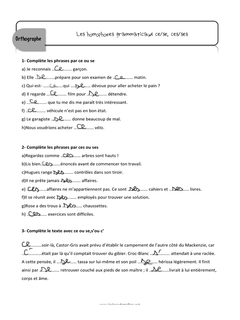 Orthographe Exercices | PDF