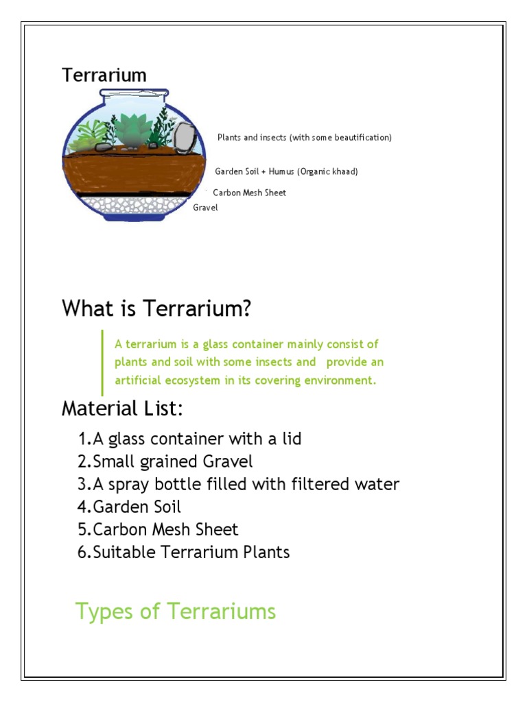Terrarium | PDF | Vivarium | Soil