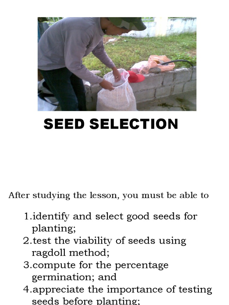 Importance of Seed Selection in Agriculture | PDF