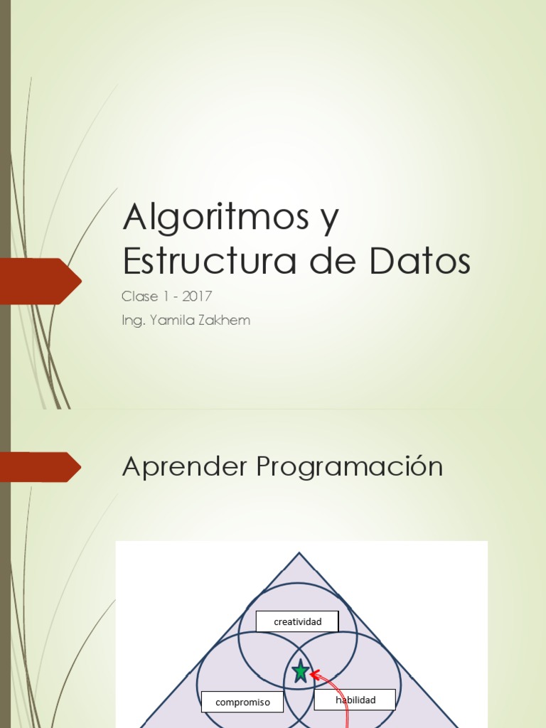 Algoritmos y Estructura de Datos | PDF | Lenguaje de programación | Programa de computadora