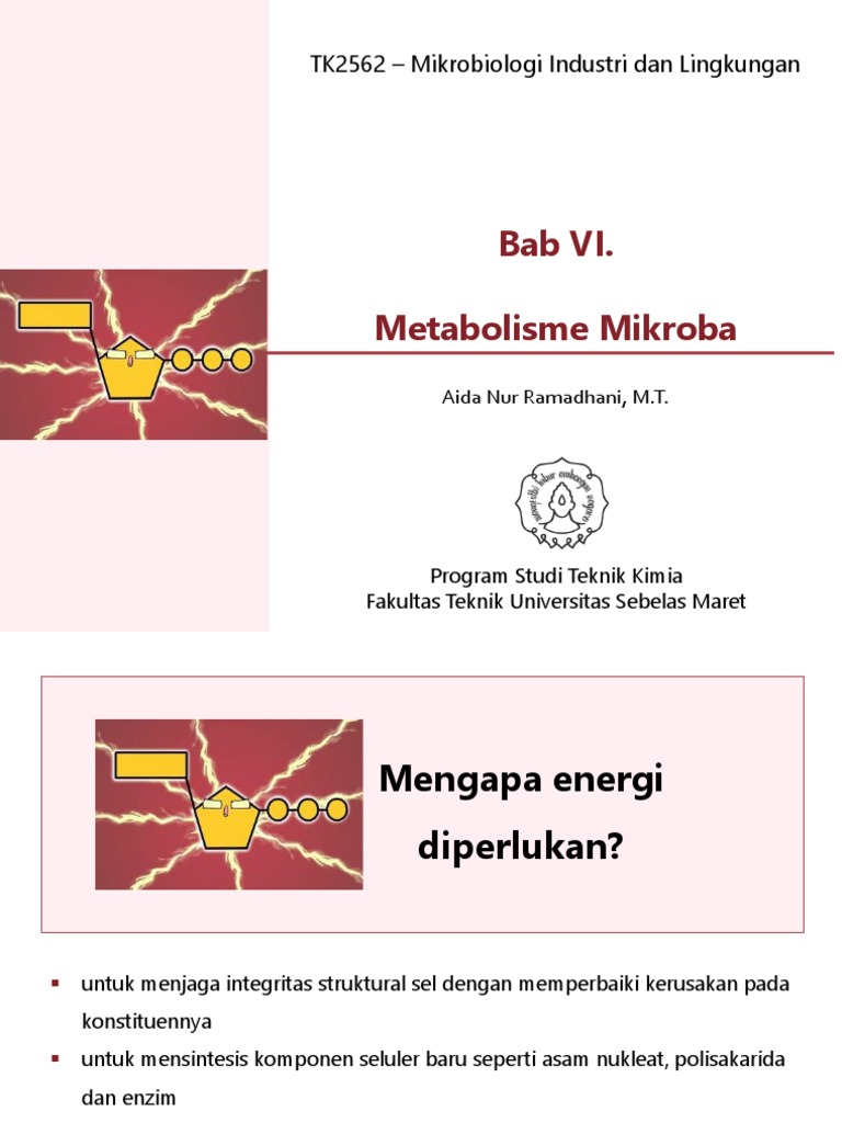 Metabolisme Mikroba | PDF