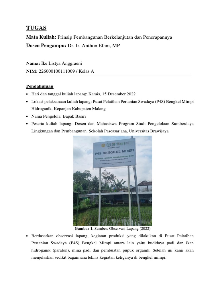 Tugas PSLP Prinsip Pembangunan Berkelanjutan | PDF