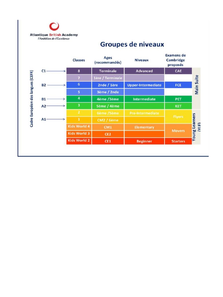 Classification Exam Cambridge | PDF