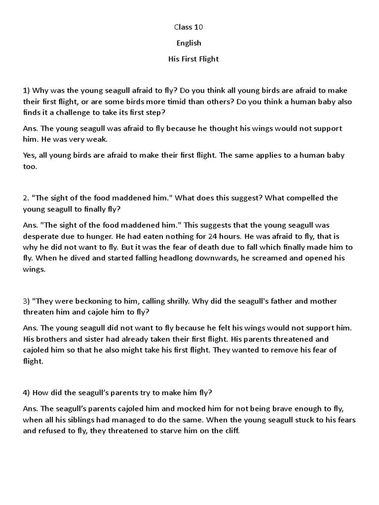 His First Flight | PDF