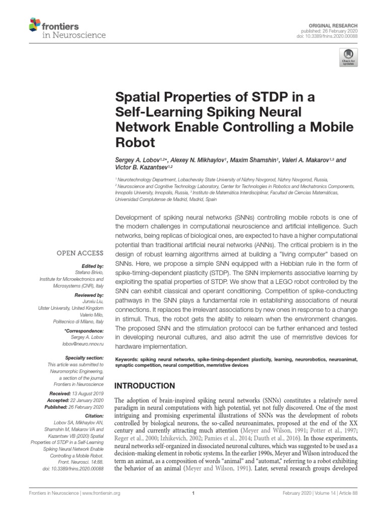 Spatial Properties Of Stdp In A Self Learning Spiking Neural Pdf Artificial Neural Network