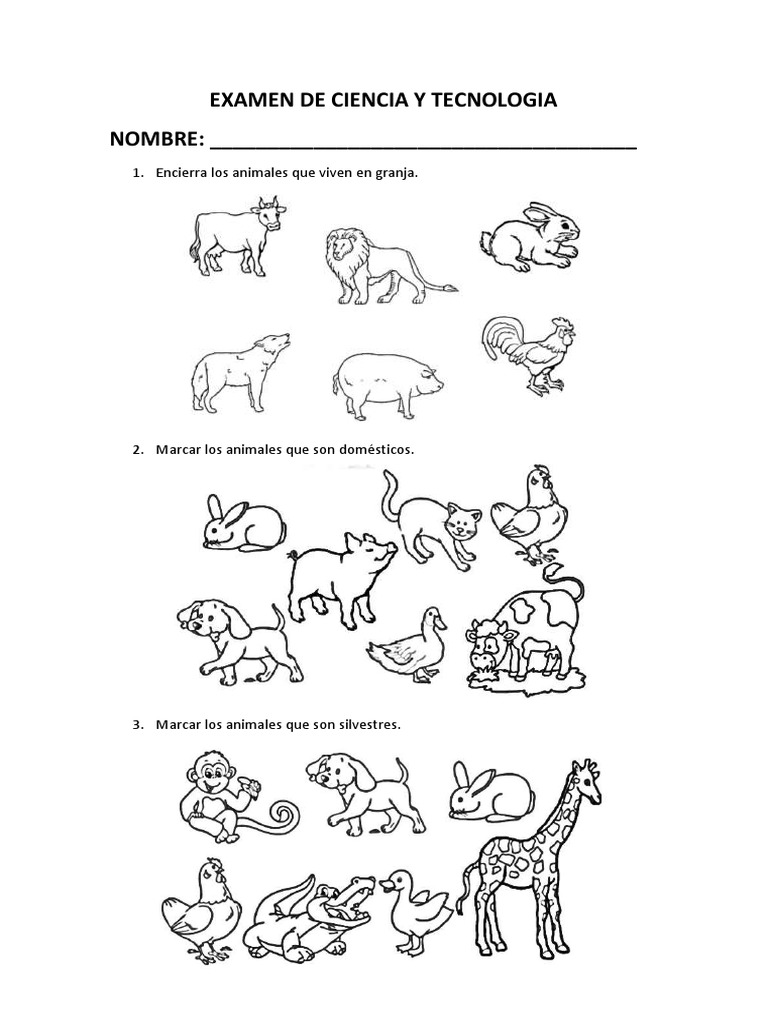 Examen de Ciencia y Tecnologia | PDF