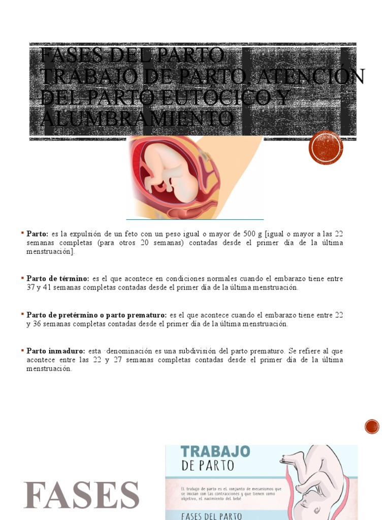 Fases Del Parto | PDF | Parto | Placenta