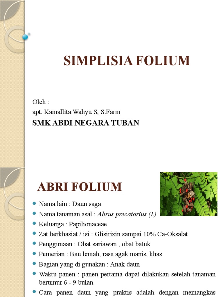 Simplisia Folium | PDF