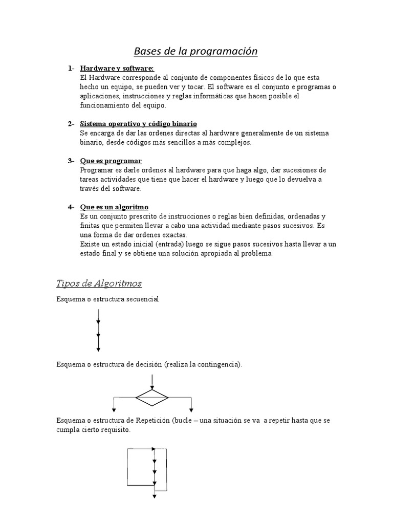 Bases de La Programación | PDF | Lenguaje de programación | Software
