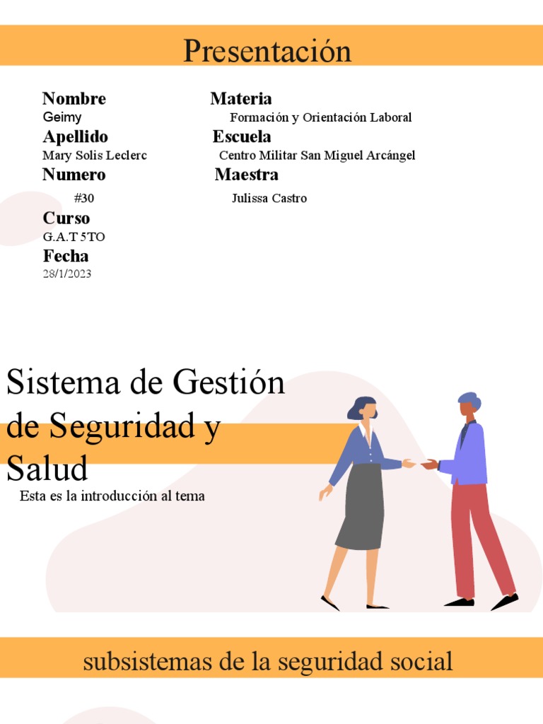 Sistema de Seguriad y Salud | PDF | Bienestar | Desempleo