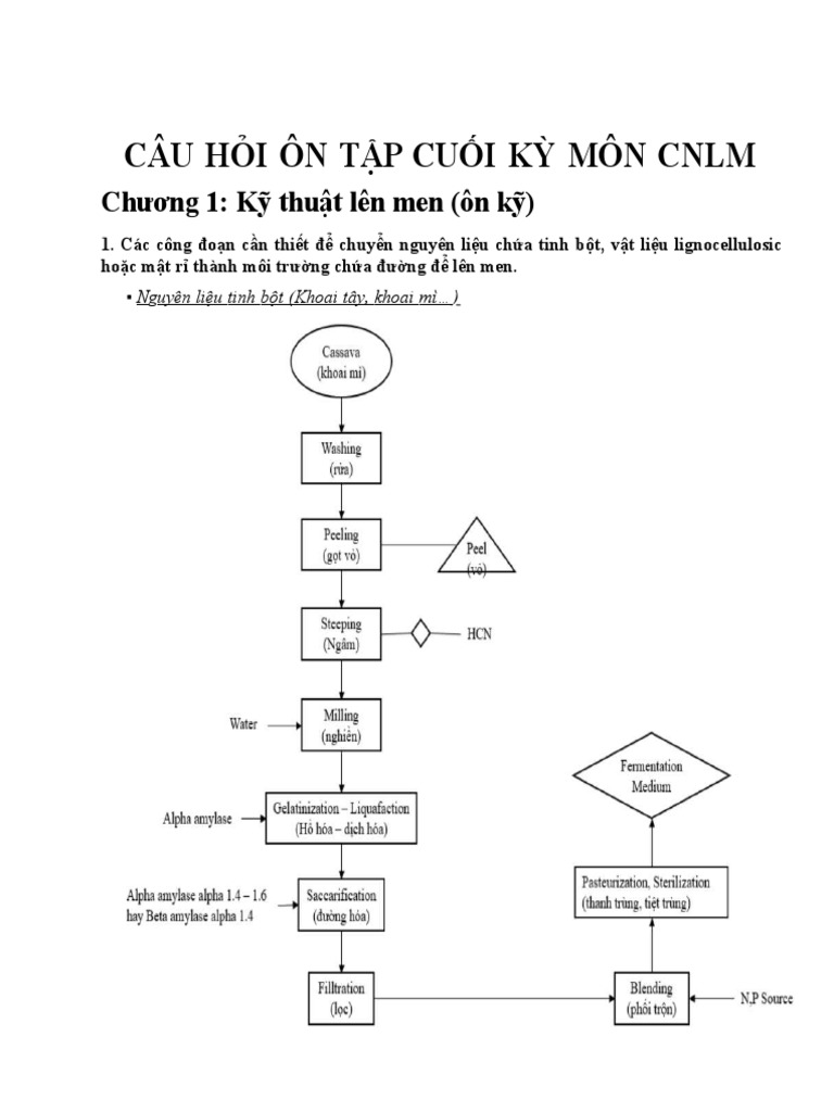 Câu hỏi ôn tập CNLM CLC | PDF
