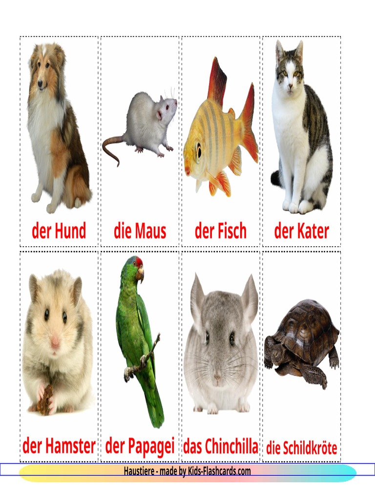 All German Flashcards | PDF