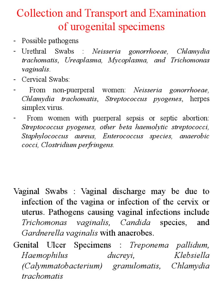 Urogenital Specimen Collection Guide | PDF | Streptococcus | Vagina
