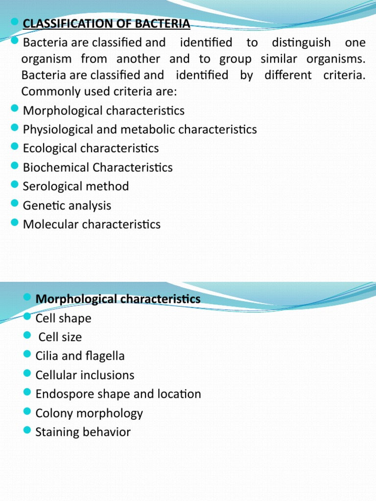Classification of Bacteria | PDF | Bacteria | Metabolism