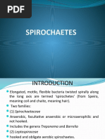 Spore vs Cyst in Bacteria Explained | PDF | Bacteria | Microbiology
