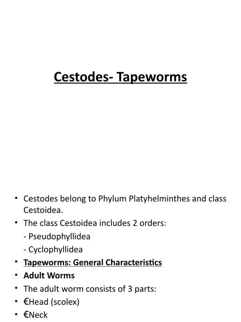 Cestodes Tapeworms | PDF