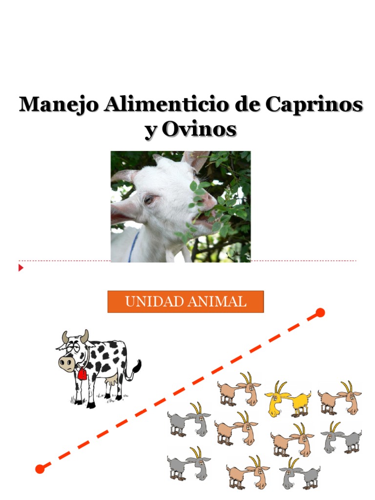 Manejo Alimenticio de Caprinos y Ovinos | PDF | Oveja | Vacas