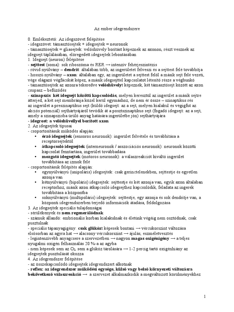 Az Ember Idegrendszere | PDF