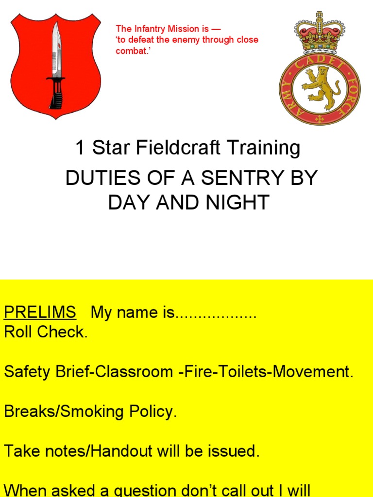 Sentry Duties and Responsibilities Guide | PDF | Military | Battles