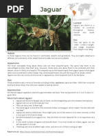 Jaguar Factfile | PDF | Jaguar | Zoology