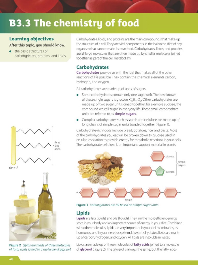 Chem of Food | PDF