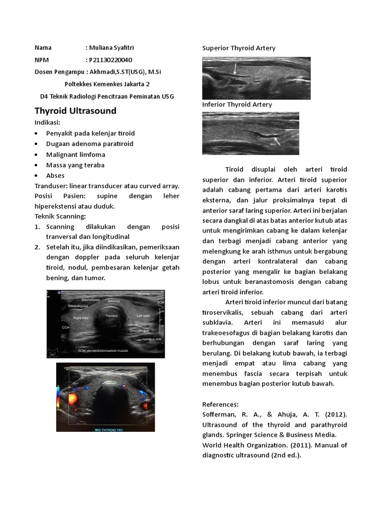 Teknik USG Kelenjar Tiroid dan Arteri | PDF