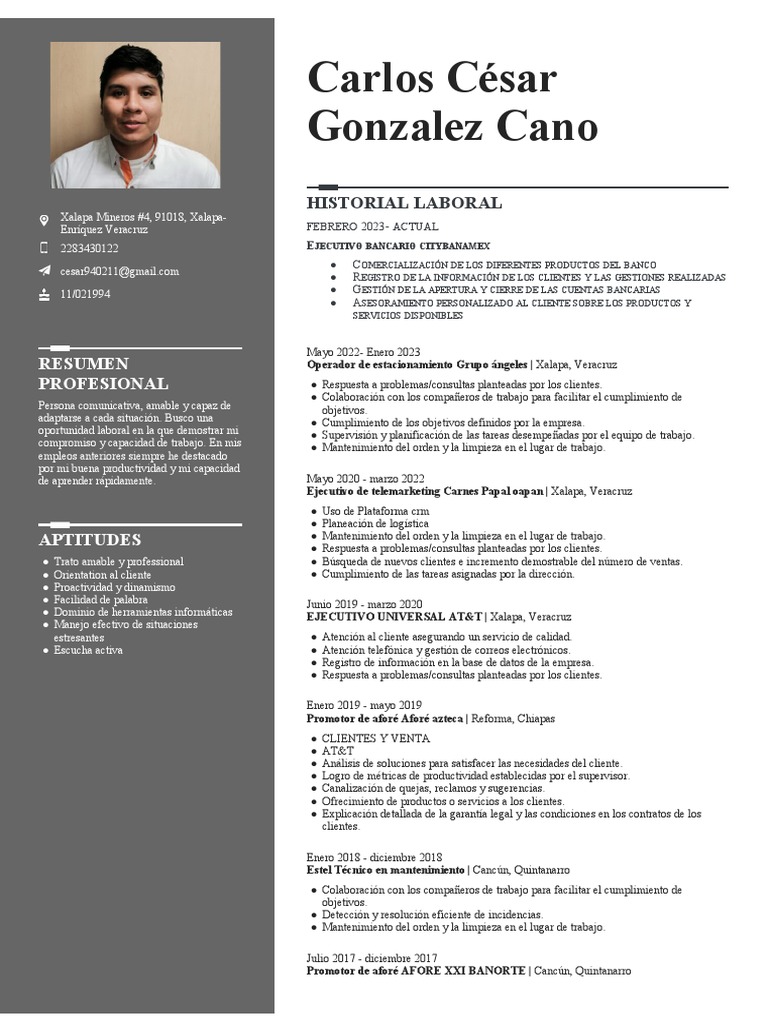 CV Carlos González 2 | PDF | Planificación | Business