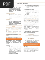 Anatomia do Períneo: Estruturas e Funções | PDF | Pélvis