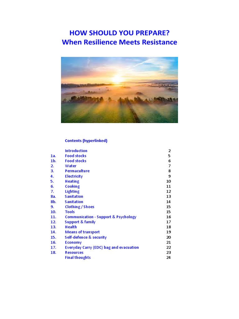 How Should You Prepare | PDF | Stove | Cash